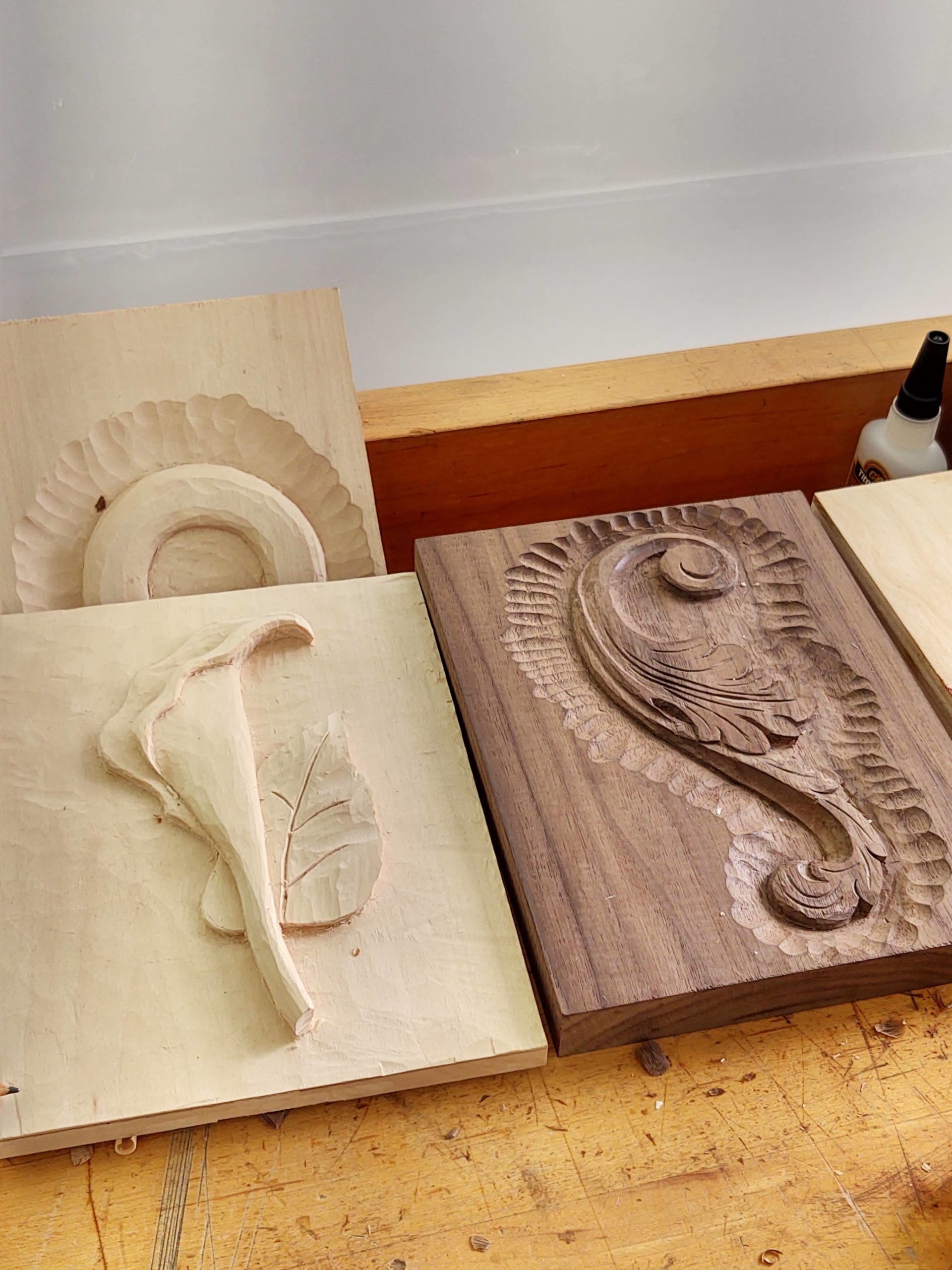 Classical Carving For All | Mary May – Florida School of Woodwork